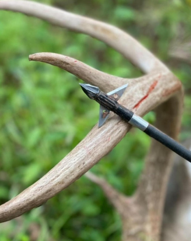 Hera – Deer Crossing Archery LLC